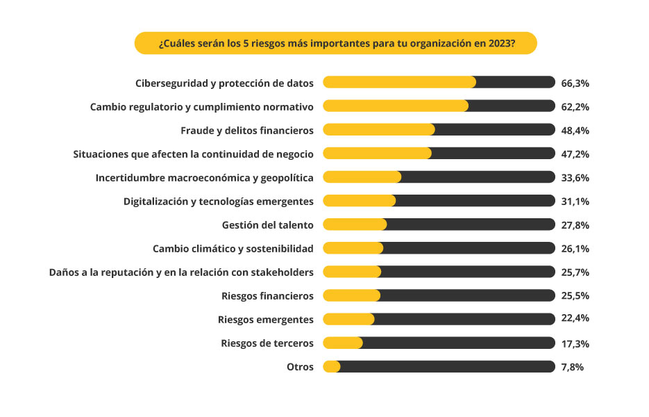 Estudio de Gestión de Riesgos 2023 - Pirani