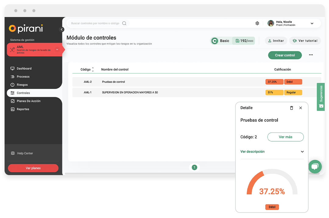 Enterprise Risk Management Solutions | Pirani