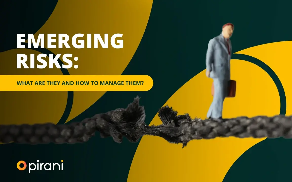 E-book Emerging risks what are they and how to manage them