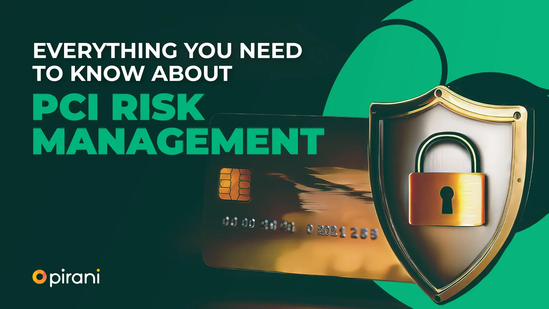 Everything you need to know about PCI risk management