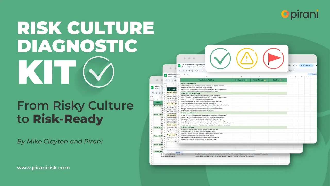 Risk Culture Diagnostic Kit | Pirani